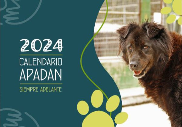 ACTUALIZACIÓN: VENTA DE CALENDARIOS 2024 – Apadan