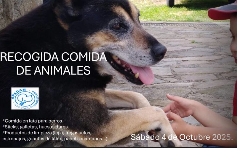 Campaña de recogida de alimentos y materiales a favor de APADAN en supermercados Eroski – Apadan